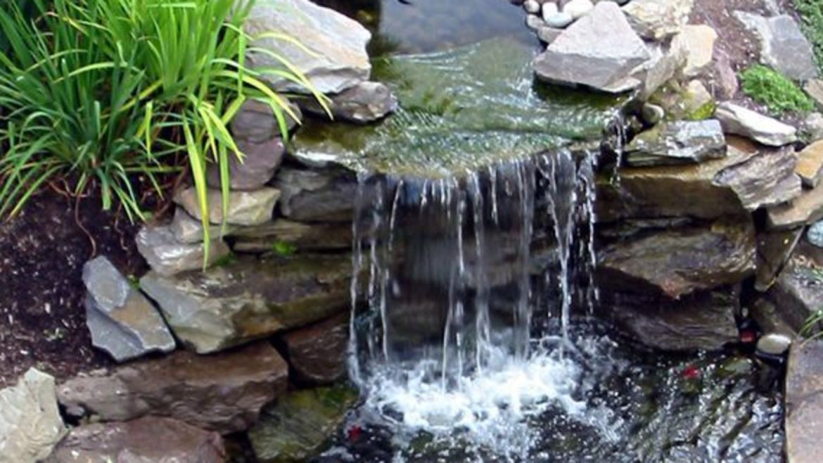 Cascade pour bassin de jardin : comment faire le bon choix